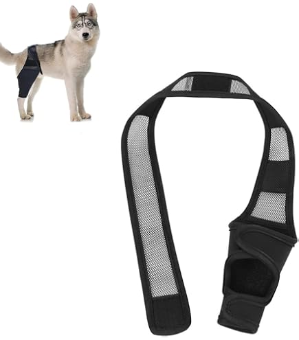 Dog Ends Tail Cover Dog Tail Protector, Adjustable Tail Guard, Wound ...
