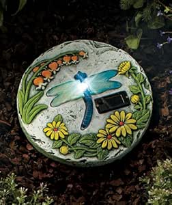 Solar Lighted Stepping Stones (Dragonfly): Amazon.co.uk: Garden & Outdoors