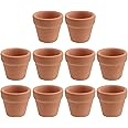 BESTOMZ 10 Pcs Mini Clay Pots 1.2'' Terracotta Pot Clay Ceramic Pottery Planter Cactus Flower ...