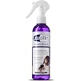 Leucillin Natural Antiseptic Spray | Antibacterial, Antifungal ...
