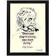 Amable Arts Framed Poster | Albert Einstein Photo Frame for Home ...