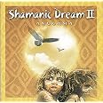 Shamanic Dream Vol.1 : Anugama: Amazon.it: Libri