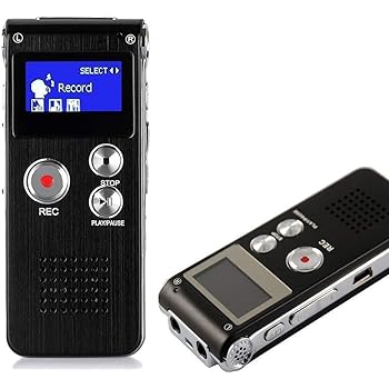 Ghost Hunting EVP digital recorder: Amazon.co.uk: Electronics
