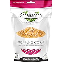 Popping Corn / Popcorn - 1kg : Amazon.co.uk: Grocery
