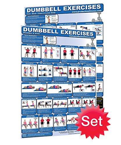 Buy Laminated Dumbbell Exercises Training Chart Set: (1) Shoulders and ...