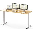 FLEXISPOT 160x80cm Electric Standing Desk Height Adjustable Desk ...