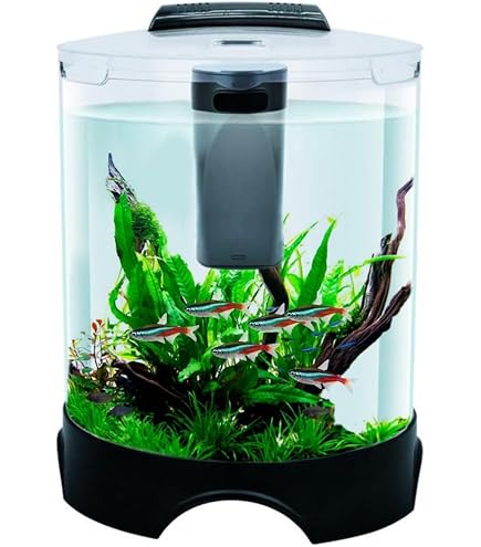 55 Gallon Aquarium Frame Replacement Buy Glass Canopy For Aquariums ...
