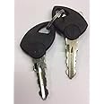 Mountfield Genuine Ride on Lawnmower Ignition Keys 118210022/0 : Amazon.co.uk: Garden