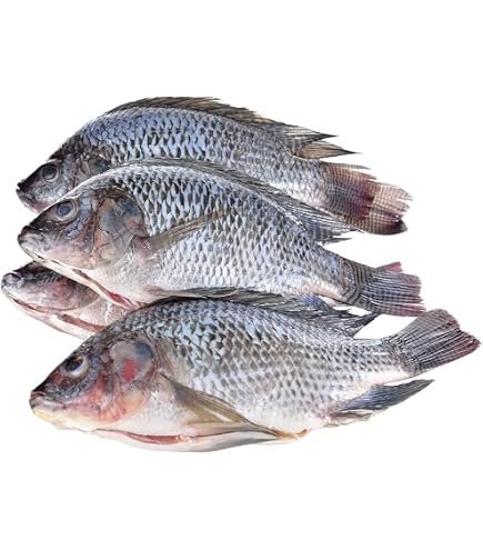 Pomfret Fish In London
