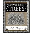 Native British Trees: Amazon.co.uk: Thompson, Andy: 9781904263326: Books