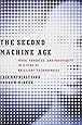 The Second Machine Age: Work, Progress, and Prosperity in a Time of ...