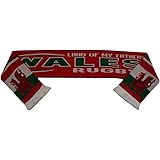 Wales Flag Rugby & Football Fans Scarf (100% Acrylic) : Amazon.co.uk ...