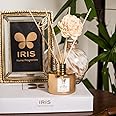 IRIS Glass Glitter Reed Diffuser Set 100Ml Oil,6N Reed Sticks-Fragrance Gold Musk : Amazon.in ...