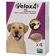 Veloxa XL Chewable Dog Wormer, 4 Tablets : Amazon.co.uk: Pet Supplies