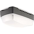 PHILIPS 10W LED Bulkhead Light (White,Metal). : Amazon.in: Home & Kitchen
