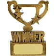 SilverTrophy: Winner Champion Mini Cup Trophy Award for a Winner, Hero ...