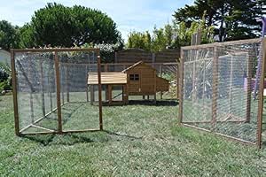 POULAILLER idéal 2 à 4 POULES + ENCLOS 9m2: Amazon.fr: Animalerie