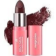 Buy Biotique Natural Makeup Magicolor Lipstick, Nudge Fudge Online at ...