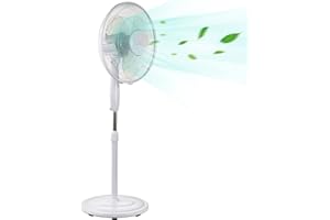 Amazon.de Best Sellers: The most popular items in Pedestal Fans