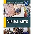 Buy Ib Course Book: Visual Arts Book Online at Low Prices in India | Ib ...