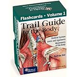 Trail Guide to the Body: A hands-on guide to locating muscles, bones ...