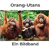 Meine wilden Kinder: Ein Leben für die letzten Orang-Utans : Signe ...