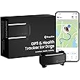 Tractive GPS Dog Tracker | 2025 Edition | Market leader | Real-time location tracking | Escape ...