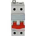 Legrand DX 3 63-Amp 2-Pole MCB Isolator 406502 : Amazon.in: Home Improvement