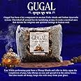 Vedic Vaani Pure Guggal | Guggul | Gugula | Gugal | Myrrh Incense Dhoop ...
