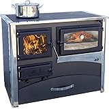 EEK A Kaminofen mit Backfach und Herdplatte ABC Concept 2 Air Mini ...