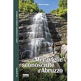 Guida alle chiese d'Abruzzo : Latini, Maria Luce: Amazon.it: Libri