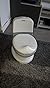 Nuby Potty, My Real Mini Size Toilet with Lid and Flush Sound, Potty ...