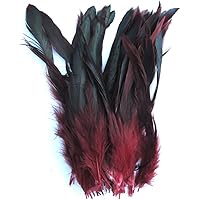 Pack of 50 Rooster Pheasant Dip Dyed Feathers - 5-8" (12-20cm) Approx ...