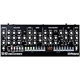 Roland Boutique SE-02 Analoger Synthesizer : Amazon.de ...