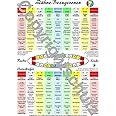 Zahnzonen Übersichtskarte DIN A5 (Lehrtafeln / Übersichtskarten) : Tanja Aeckersberg: Amazon.de ...
