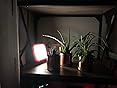 d.light S500 Solar Rechargeable LED Light Set with Panel - Pack of 1 ...