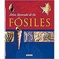 Atlas Ilustrado De Los Fosiles : Susaeta, Equipo: Amazon.es: Libros