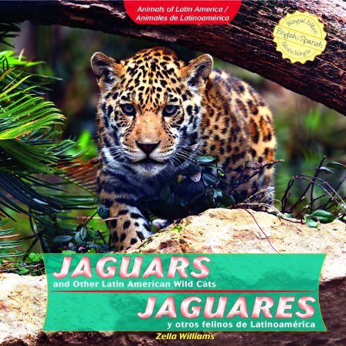 LenardFloru: Jaguars and Other Latin American Wild Cats =: Jaguares y ...