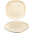Buy Signoraware BPA Free Square Plates for Dinner Lunch Breakfast, Food ...