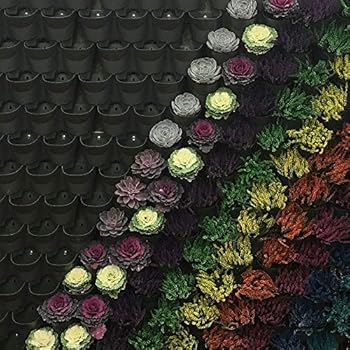 Wonderwall Self Watering Vertical 3 Pocket Garden Wall Planter Outdoor ...