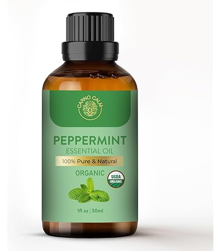 Dust Pans Fulton Heavy Duty Galvanized Steel Dustpan - Silver Metal ...