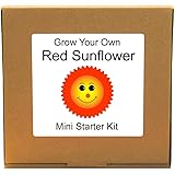Grow Your Own Ladybird Poppies Plant Kit – Unusual, Unique and Quirky ...