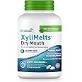 XyliMelts Mild Mint for Dry Mouth, 110-Count, Day & Night Use : Amazon ...