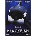 Blackfish [DVD]: Amazon.es: Gabriela Cowperthwaite, Judy Bart, Erika ...