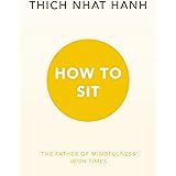 How To Walk: Amazon.co.uk: Hanh, Thich Nhat: 9781846045165: Books