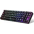 Amazon.in: Buy Redragon K599 Wireless/Wired Mechanical Gaming Keyboard ...