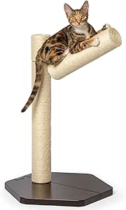 PetFusion [New Branch-Out Cat Scratching Post. Tall Vertical Post with ...