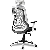 ASTRIDE Octave Ergonomic Office Chair for Home | 3-Years Warranty | 2D ...