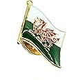 Wales Welsh Cymru Red Dragon Metal Country Flag Pin Badge : Amazon.co ...