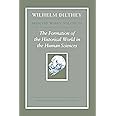 The Formation of the Historical World in the Human Sciences: Selected ...